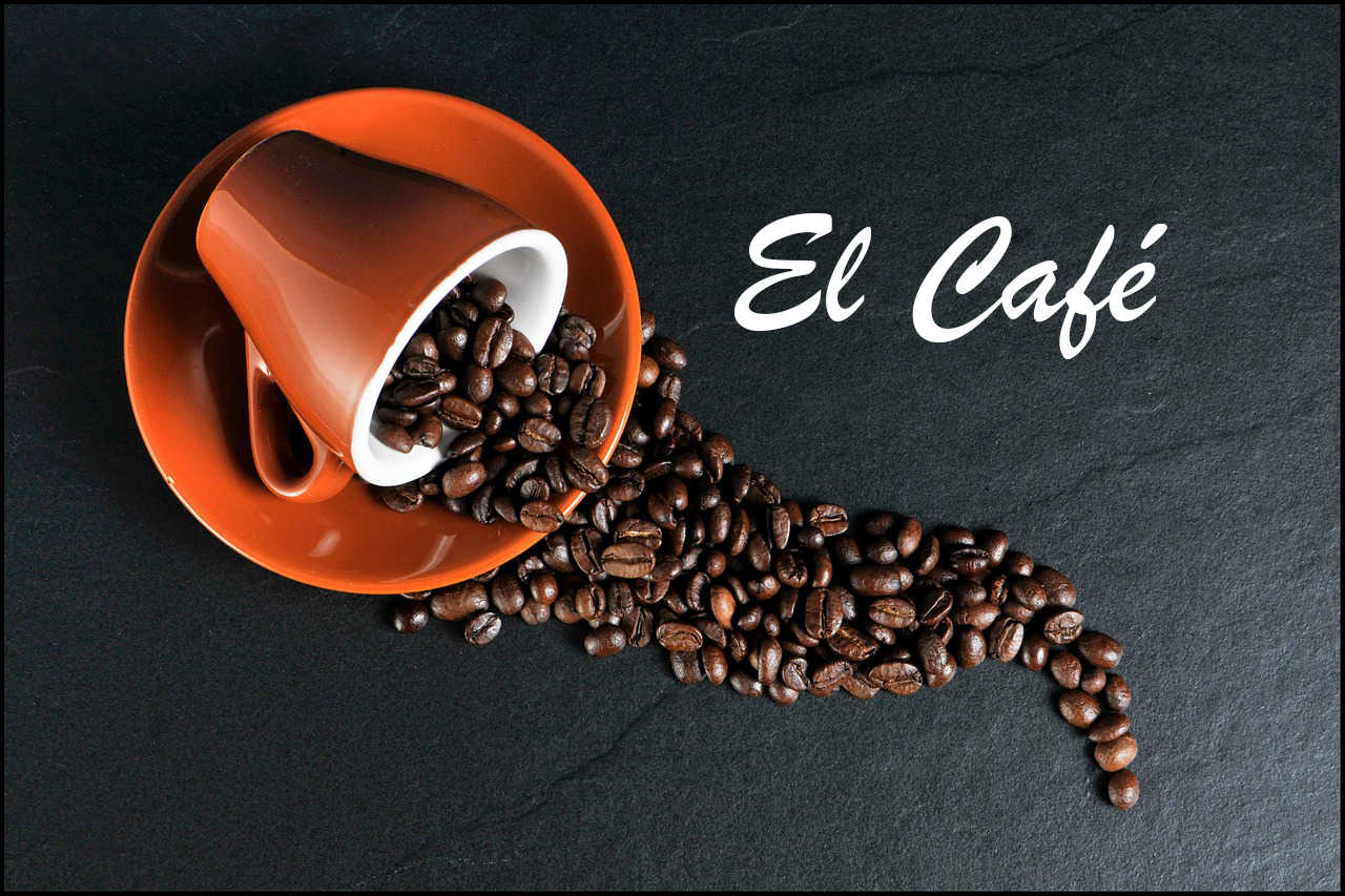 Café | Cocina y Servicio